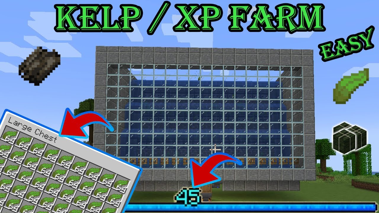 (1.19) I MADE A SUPER EASY KELP FARM AND XP FARM IN MINECRAFT 1.19 ...