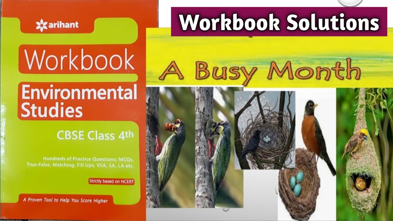 A Busy Month Workbook Solutions Class 4 EVS Chapter 16 Arihant a-busy-month-workbook-solutions-class-4-evs-chapter-16-arihant