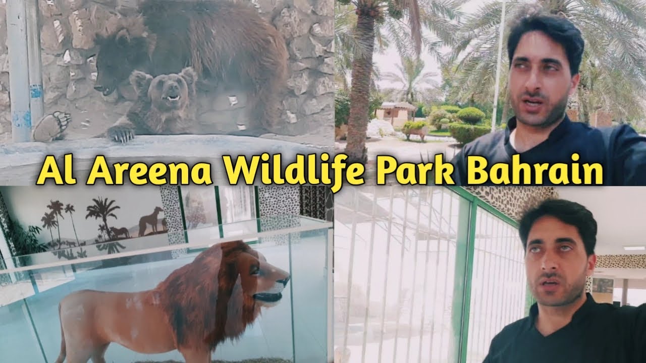Al Areena Wildlife Park Bahrain 🇧🇭 | Exploring Bahrain | Nomad Life ...