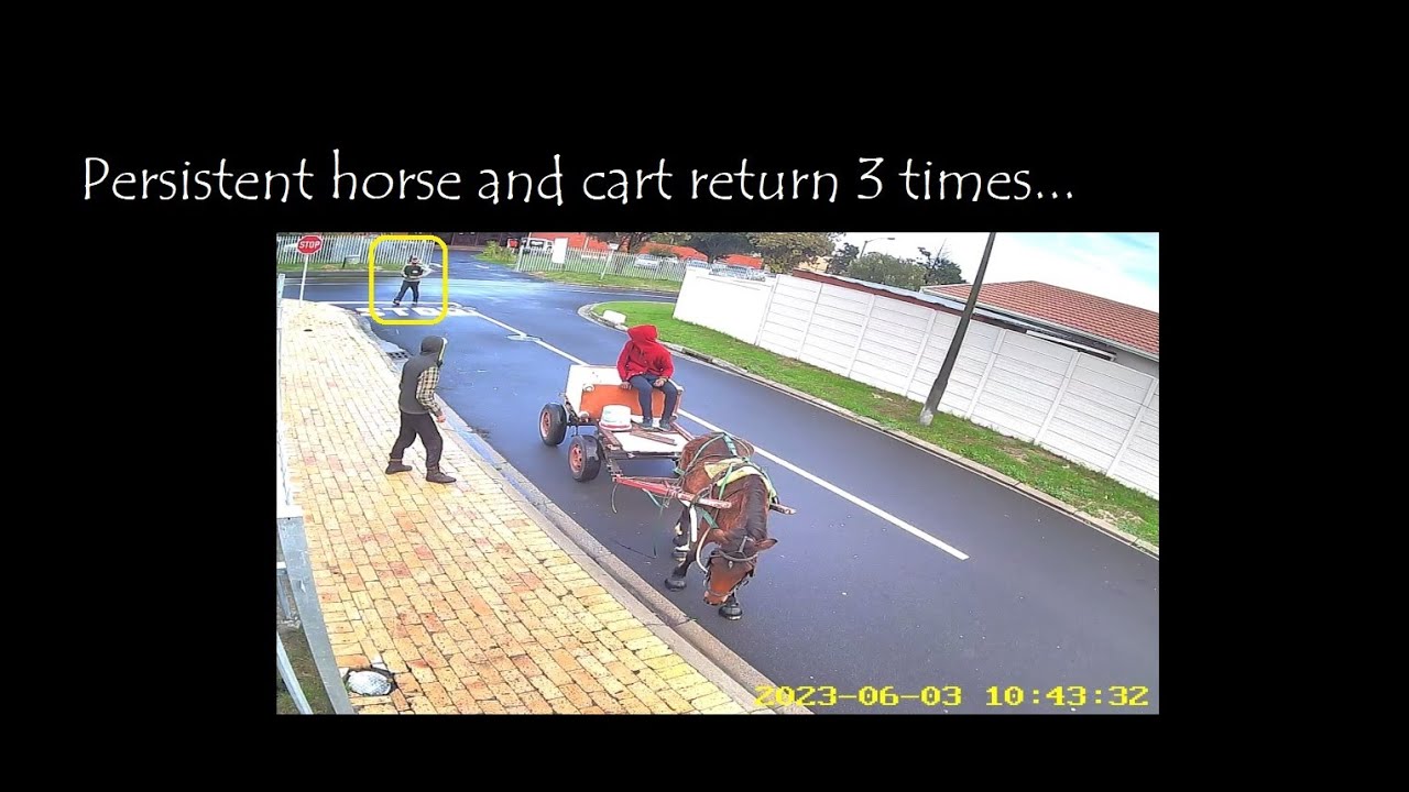 Persistent horse and cart return 3 times to the same house... - YouTube