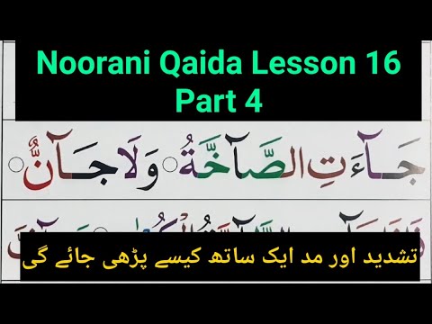 Learn Noorani Qaida Lesson 16 part 4 | Tashdeed Tips For Learning With Quran Guide | Learn Quran ...