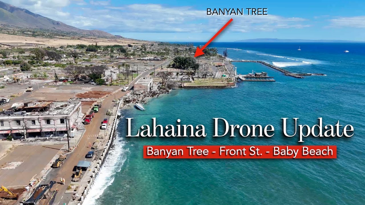 Lahaina DRONE Update - September 2024 - Banyan Tree, Front St., Baby ...