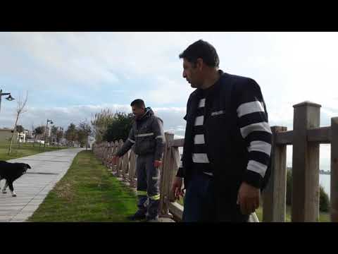 Köpekten korkan belediye işçisi