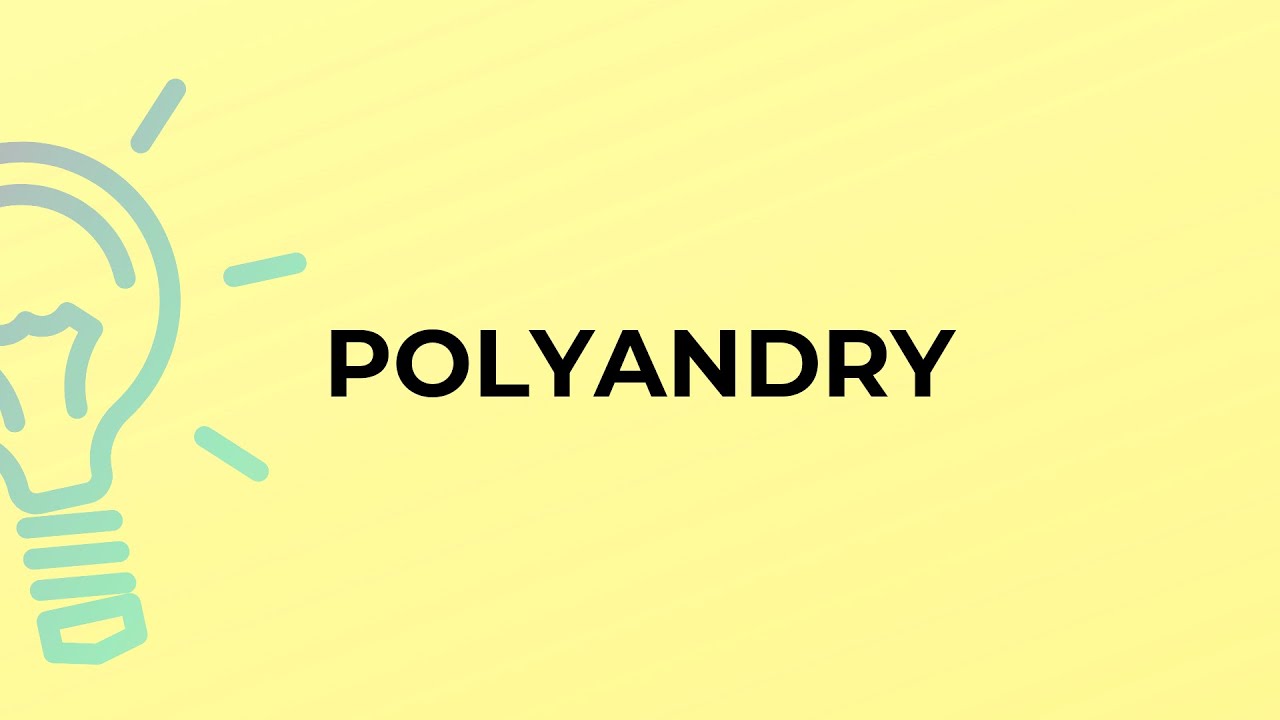What is the meaning of the word POLYANDRY? - YouTube