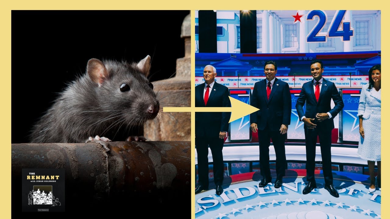 The GOP Primary is a Rat Race - Here's Why - YouTube