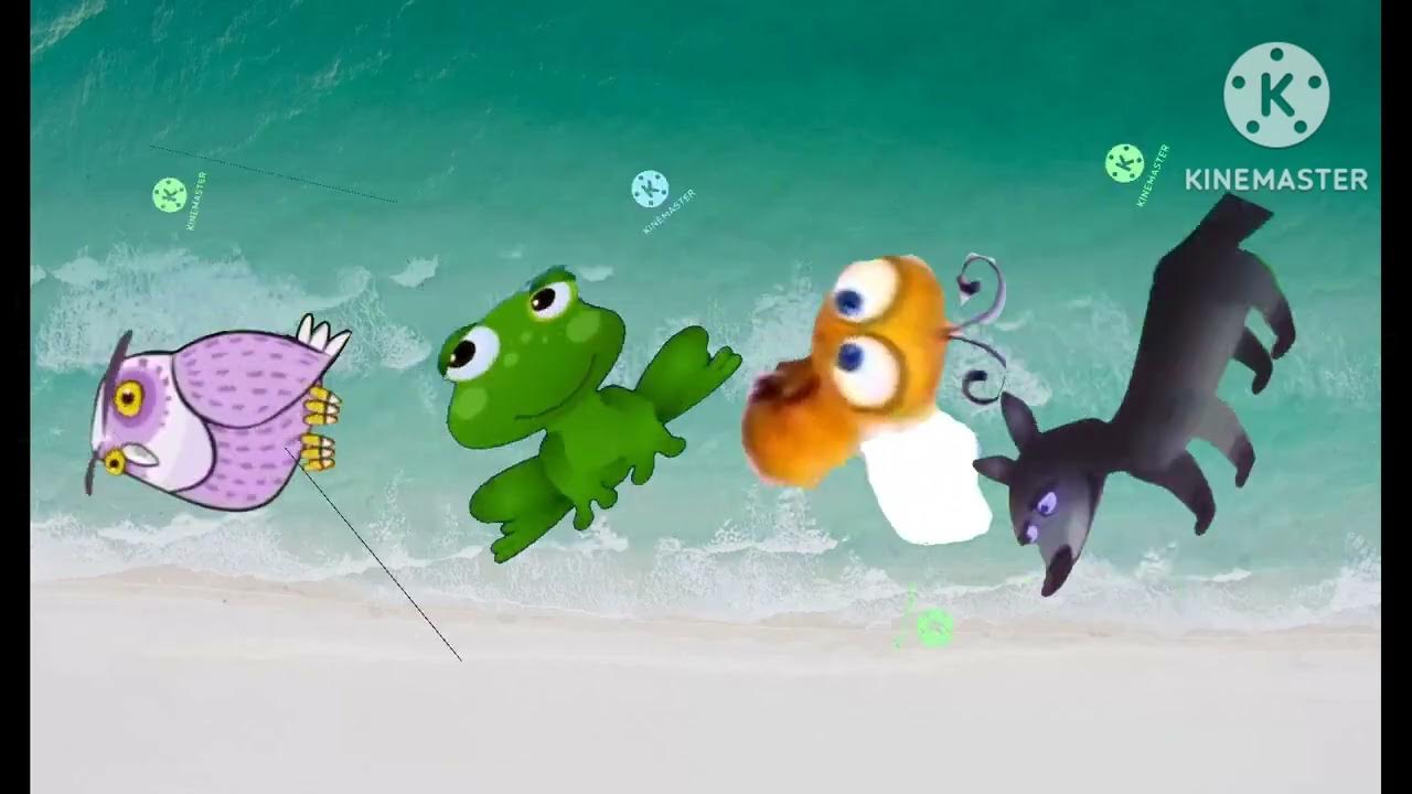 animals on the zoo - YouTube