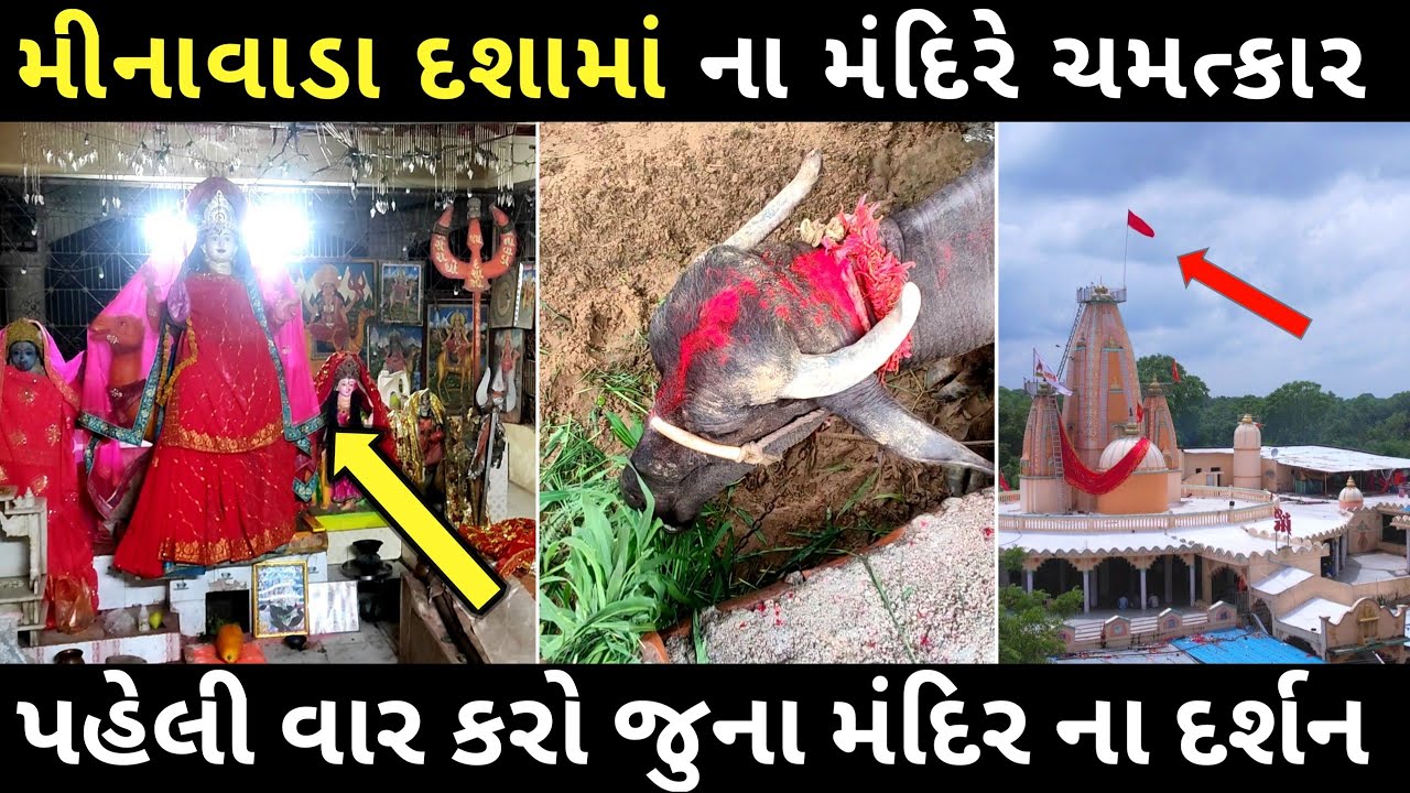 2024 મા દશામાં વ્રત કયારે શરૂ થાય છે | મીનાવાડા માં ચમત્કાર | Minavada ...