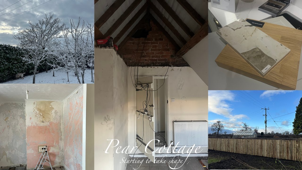 Making our tired cottage a home / Exposing beams / finding our orchard! 🍐 - YouTube