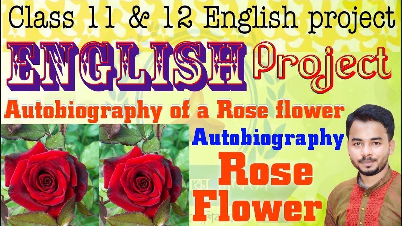 Rose Autobiography || Autobiography of a Rose flower গোলাপ ফুল ...