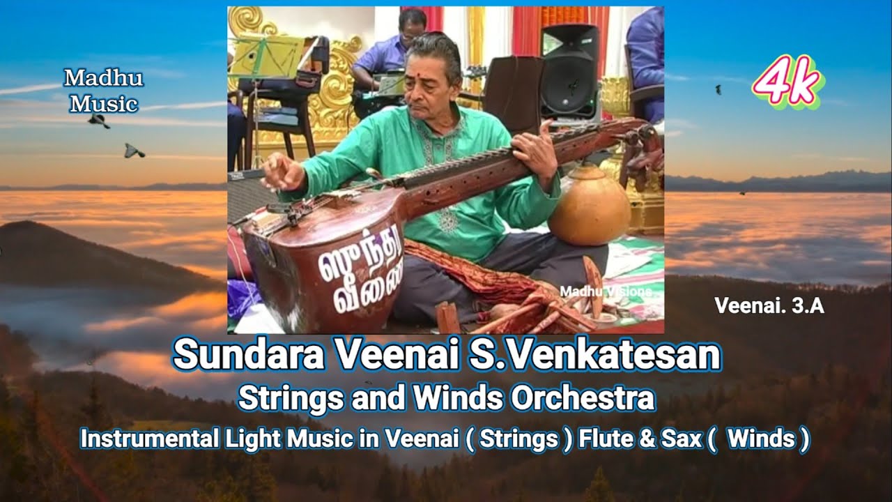 Veenai Venkatesh | Veenai instrumental Music Tamil | Veenai Music ...
