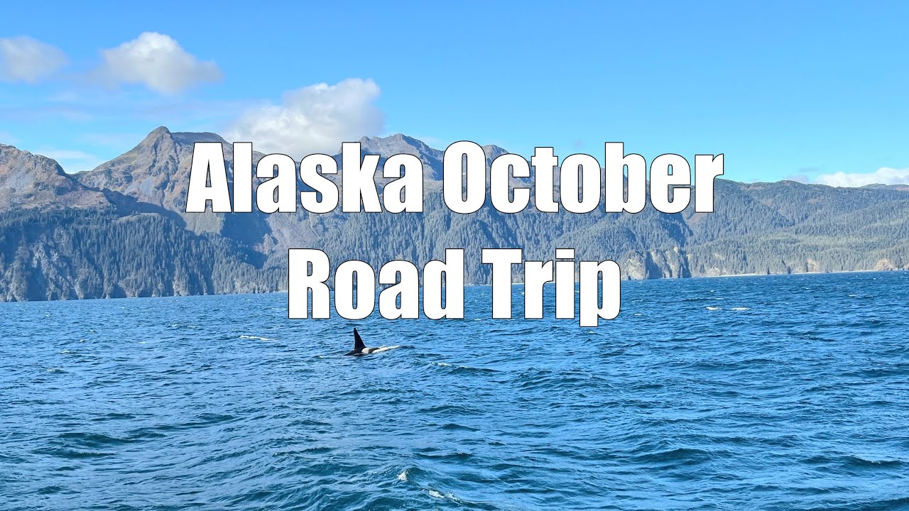 Alaska October 7 Day Road Trip Fairbanks, Anchorage, Wildlife & Denali ...