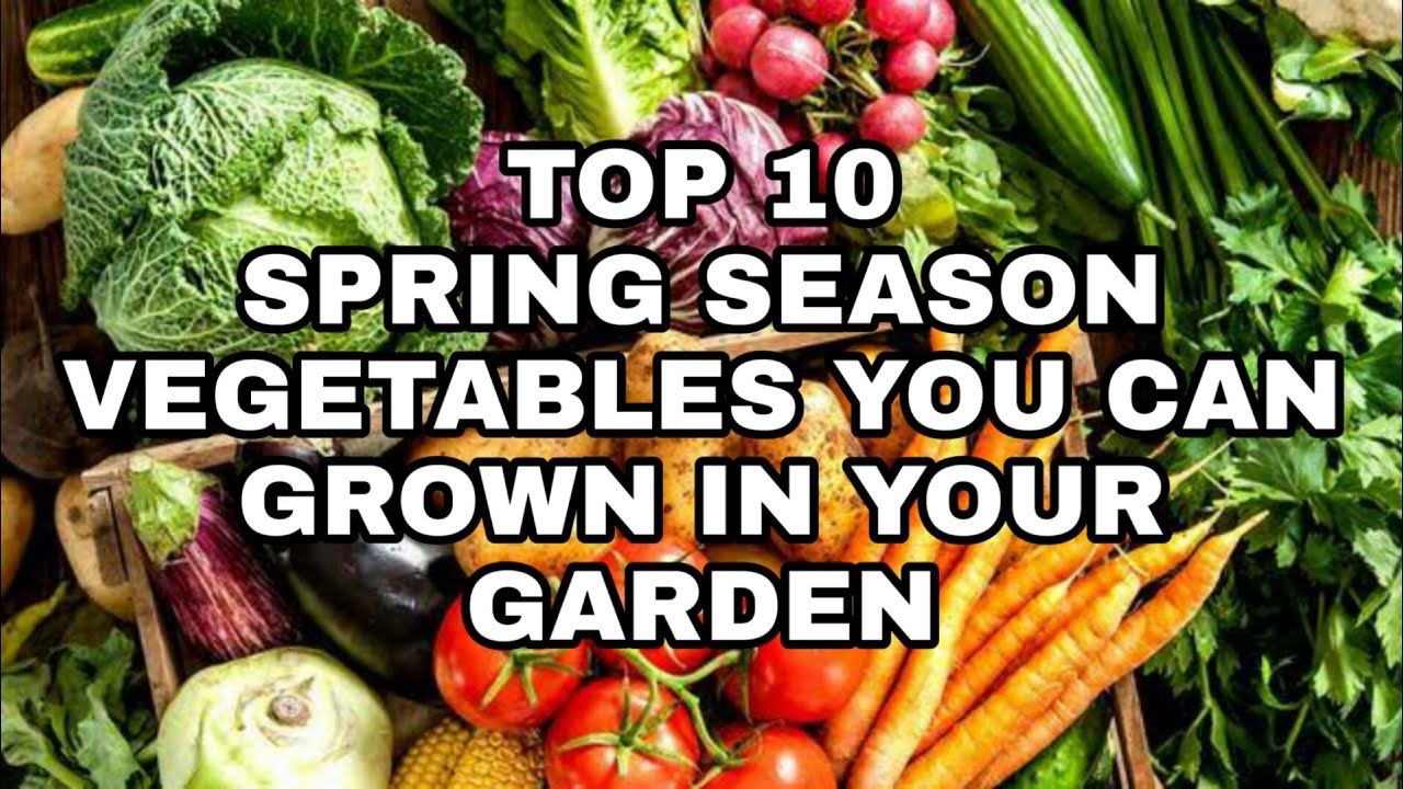 SPRING SEASON VEGETABLES || TOP 10 SEASON VEGETABLES || VEGETABLE ...