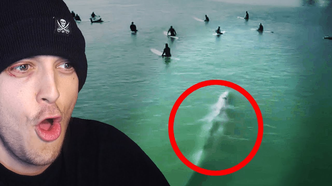 I cant believe a drone CAUGHT THIS ON CAMERA - YouTube