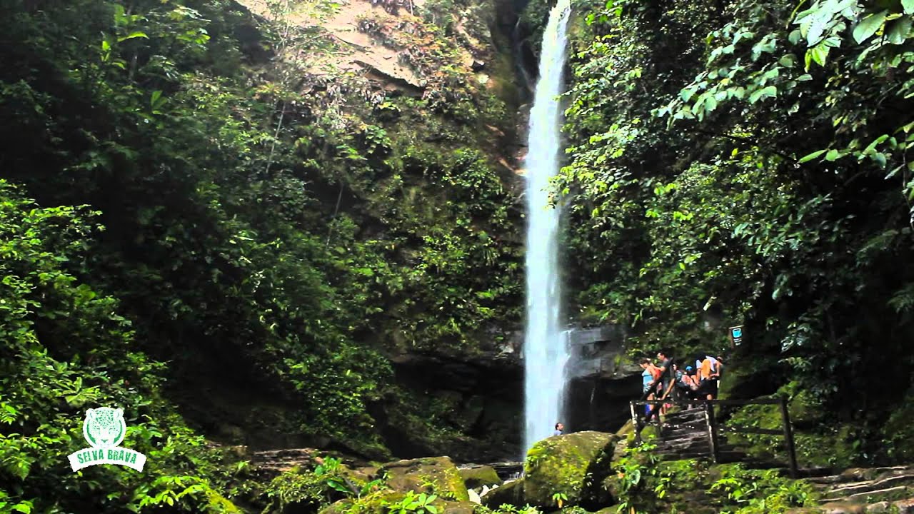 SELVA BRAVA PRODUCCIONES - YouTube