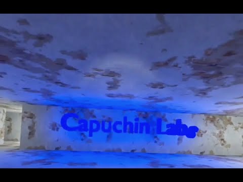 How to get to level 2 in Capuchin VR - YouTube