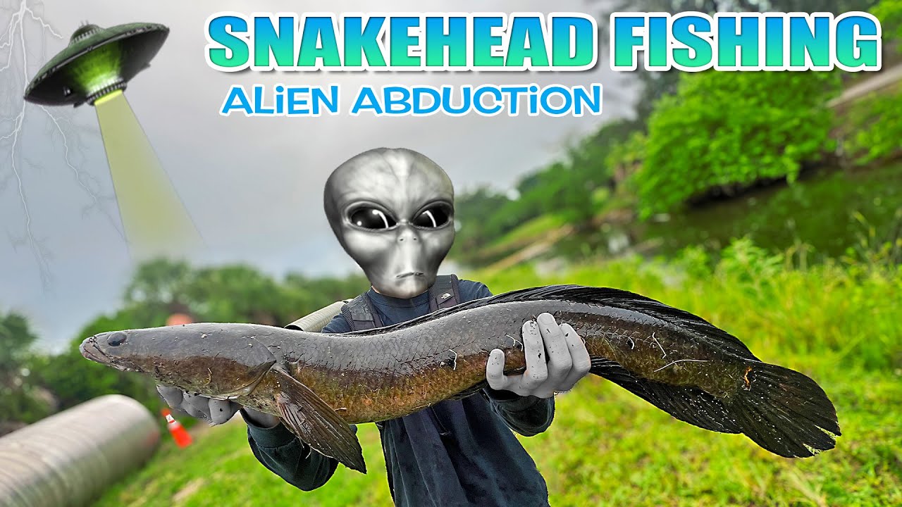 Snakeheads Fishing & a Missing Fisherman - YouTube