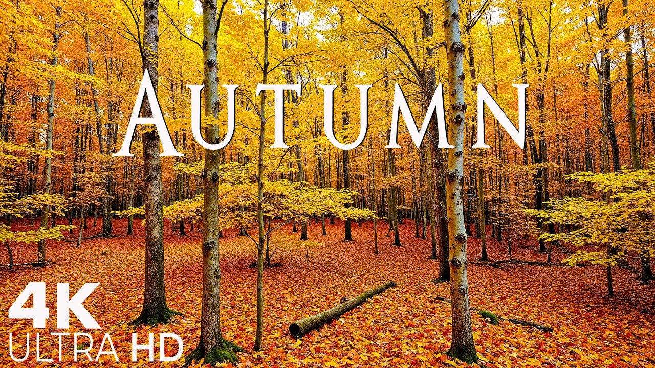 Beautiful Autumn Music 🍁 Calming The Soul With Gentle Tunes🍁4K Autumn ...