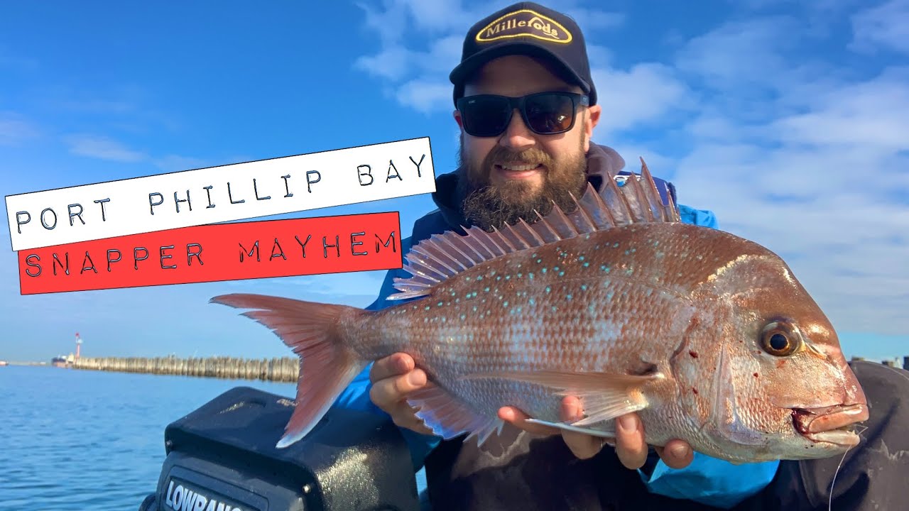 First trip after Lockdown - PPB Snapper Mayhem - YouTube