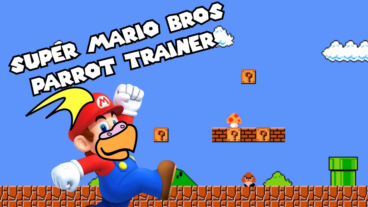30 Minutes of Super Mario Sounds Parrot Training - YouTube