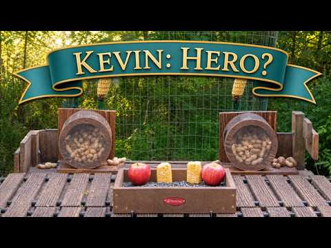 Does Kevin the American Red Squirrel Deserve Platform Hero Status? | LIVE