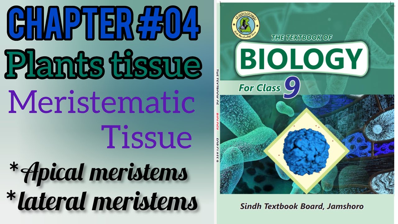 Plant Tissues| Meristematic tissues and its types|Class 9- Chapter #04 ...