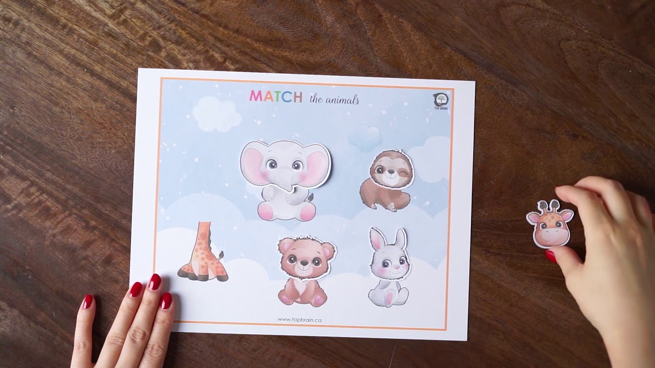 Match the Animal Heads Busy Book Toddler Activity - YouTube