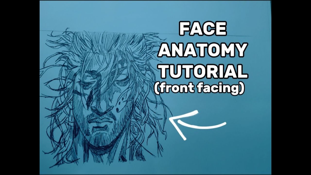 Facial Anatomy Tutorial⭐(Front Facing)⭐ - YouTube