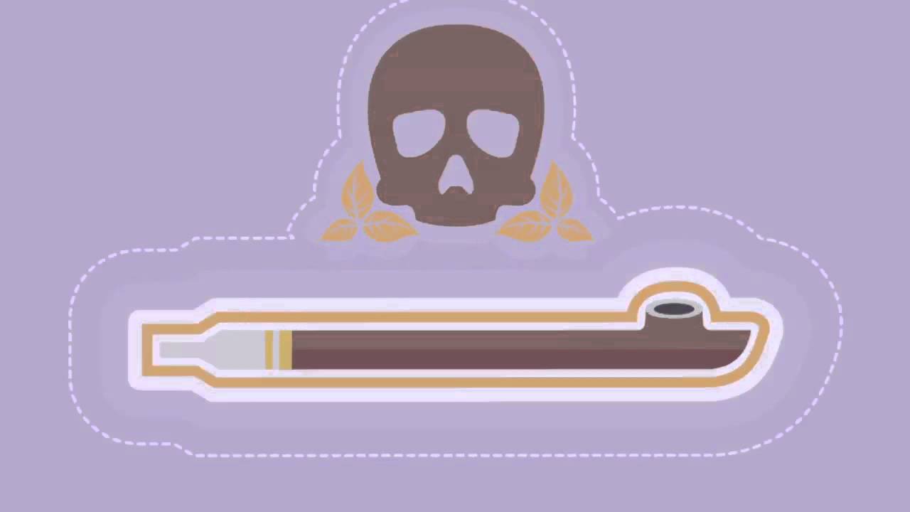 Infographic - MIDWAKH - YouTube