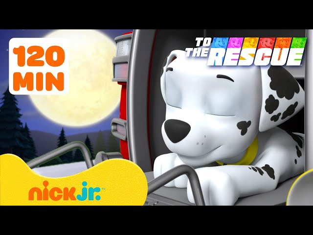 PAW Patrol To The Rescue: Bedtime Healthy Habits for 90 Minutes 😴 ...