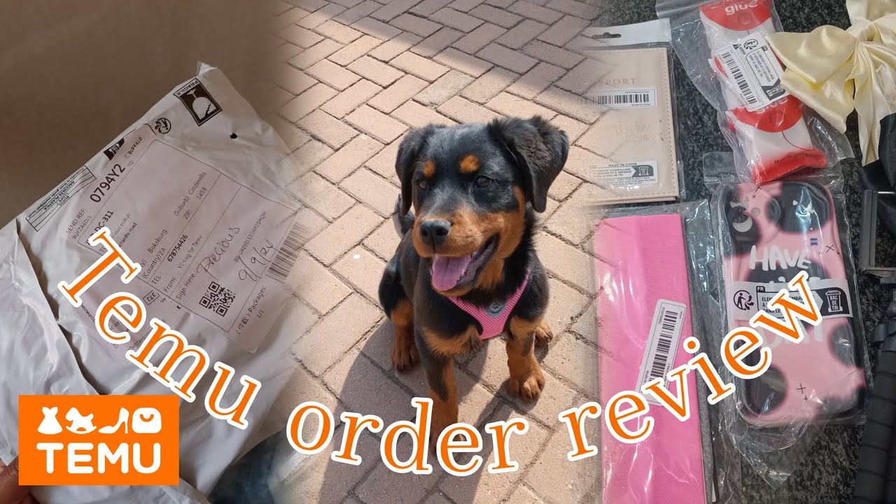 Authentic reaction/ review of my order from Temu. 🧡 - YouTube