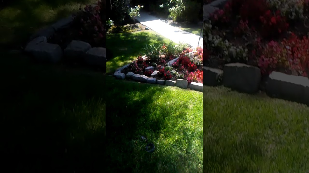 Messed Up Tree - YouTube