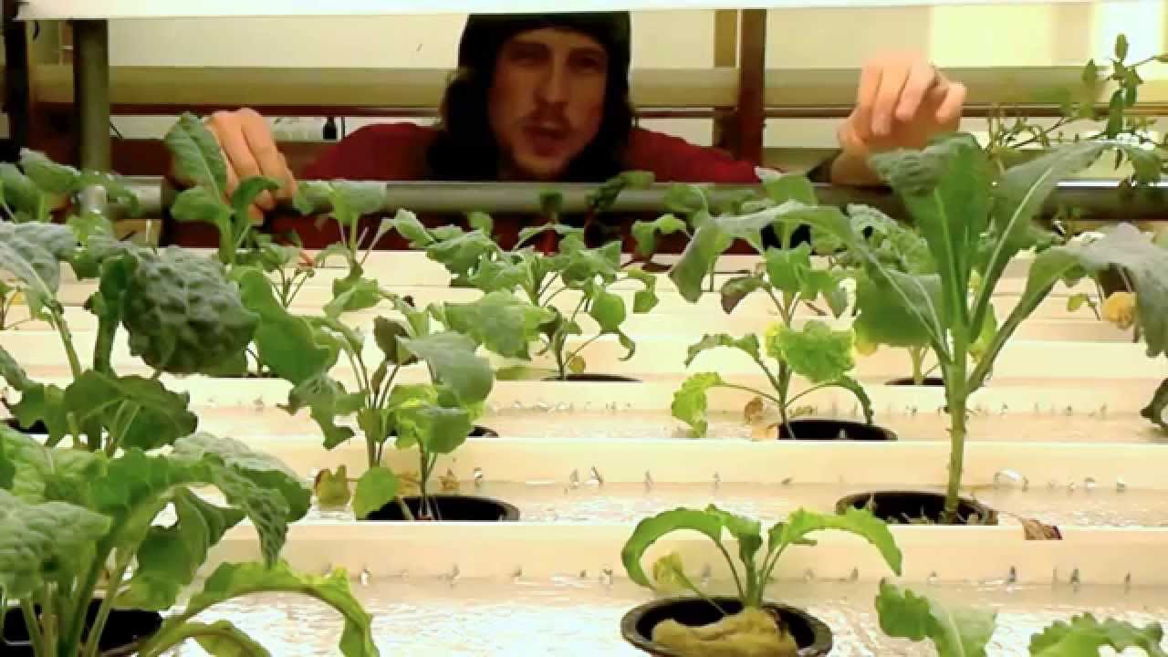Vertical NFT Hydroponic System - YouTube