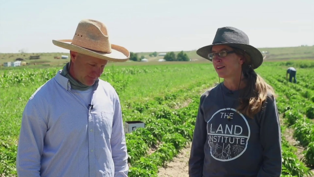 Why It s Important To Know Where Your Food Comes From YouTube why-it-s-important-to-know-where-your-food-comes-from-youtube