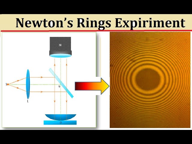 Newton's Ring