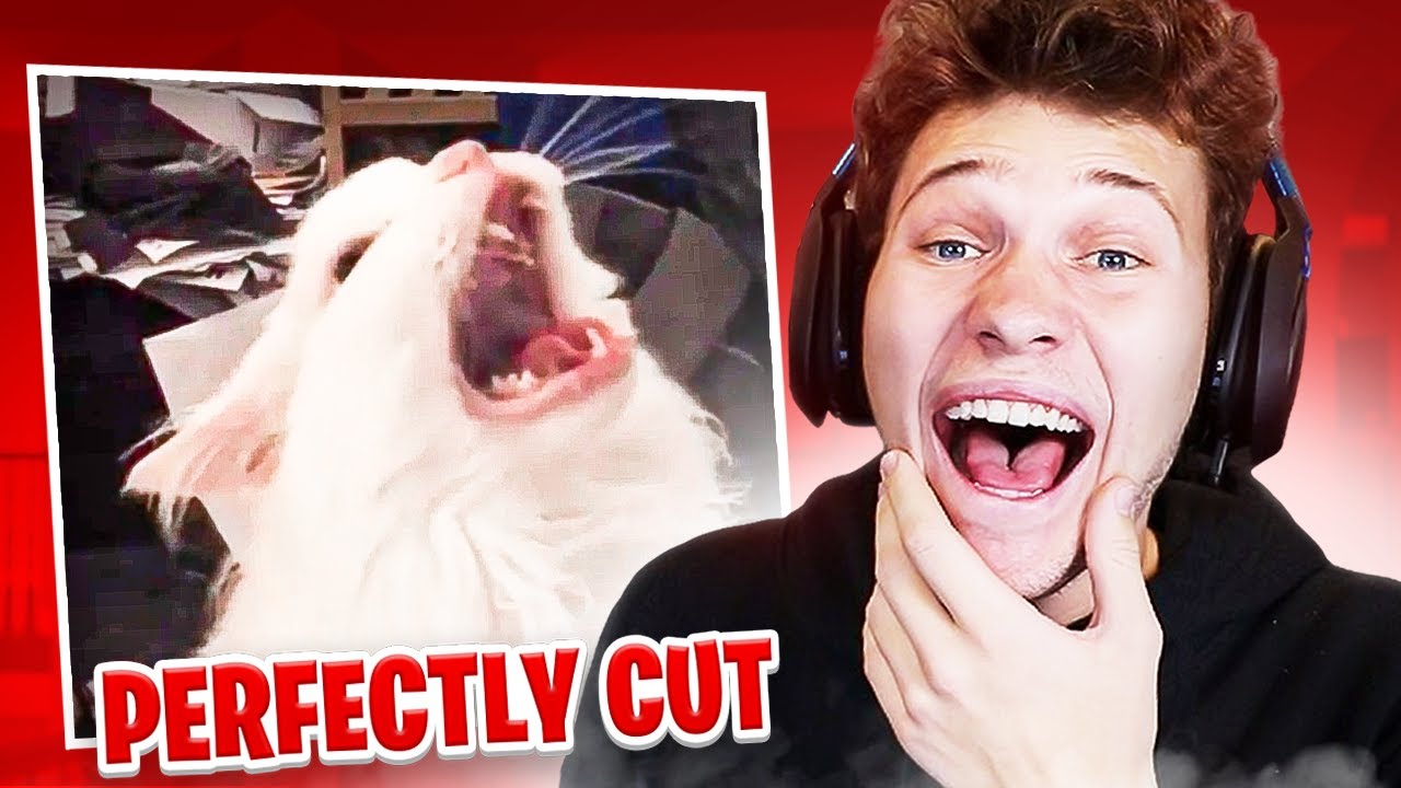 The MOST Perfectly Cut Screams EVER! - YouTube