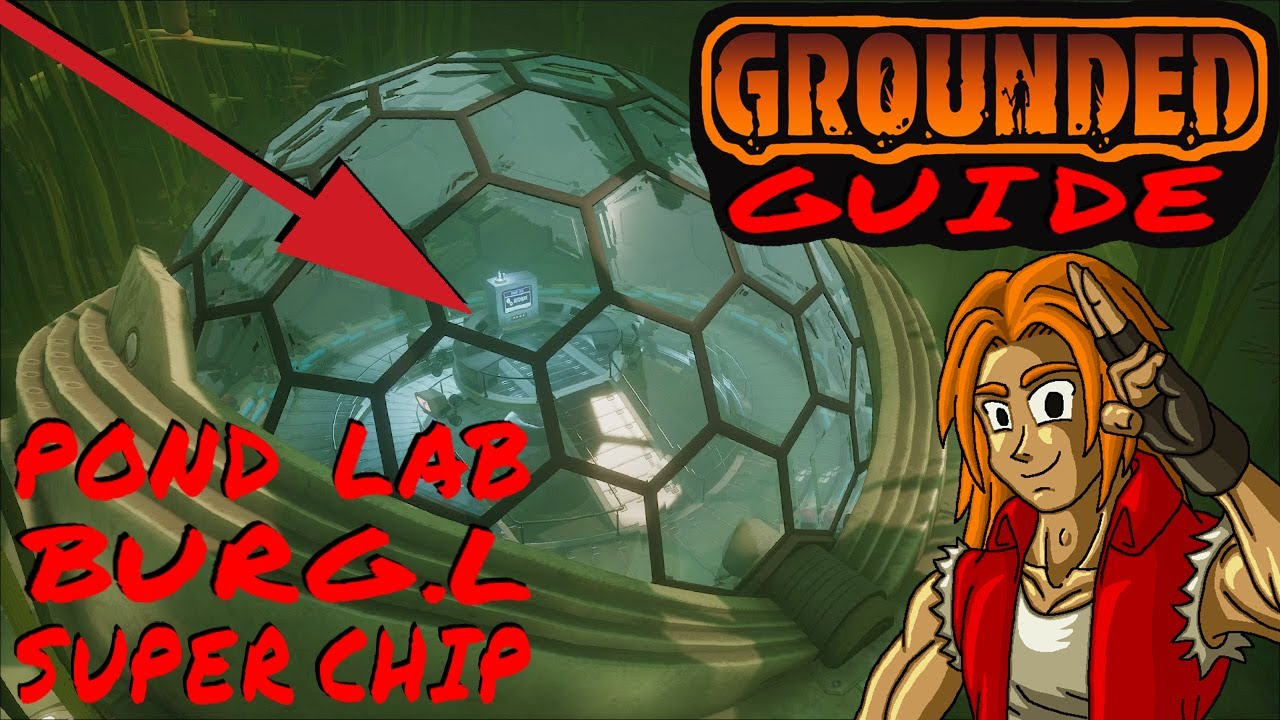 Pond Lab Grounded Guide How to Unlock Muscle Sprouts in Grounded - YouTube
