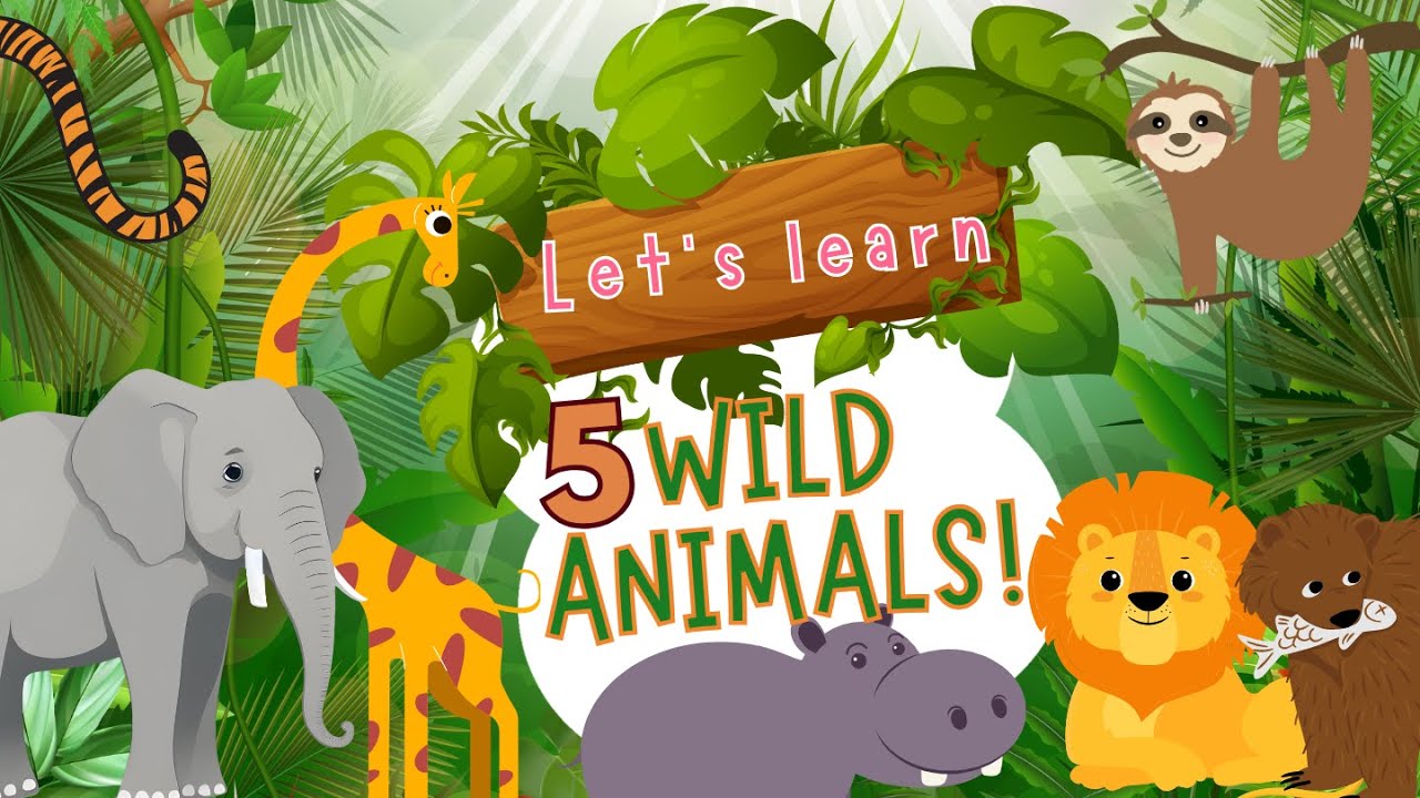 Wild Animals for Kids (Ep2) | fun way to learn 5 wild animals and ...