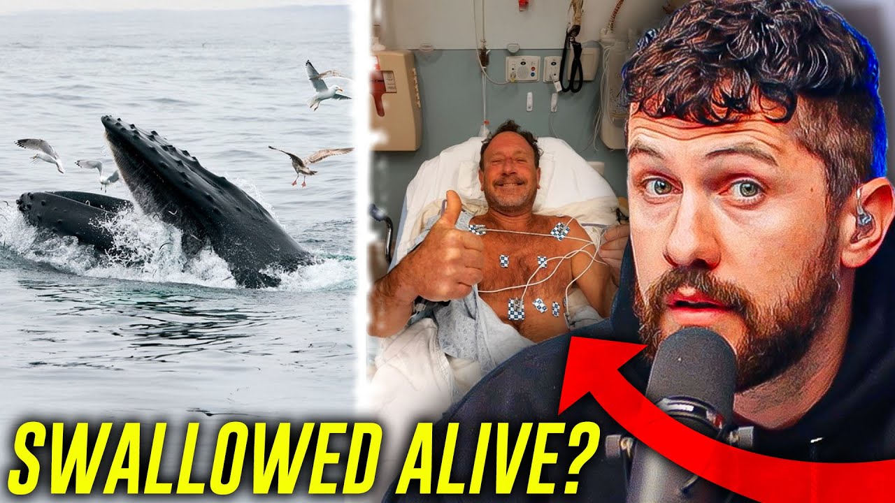 Man Gets Swallowed Alive By Whale And Lives to Tell The Story - YouTube