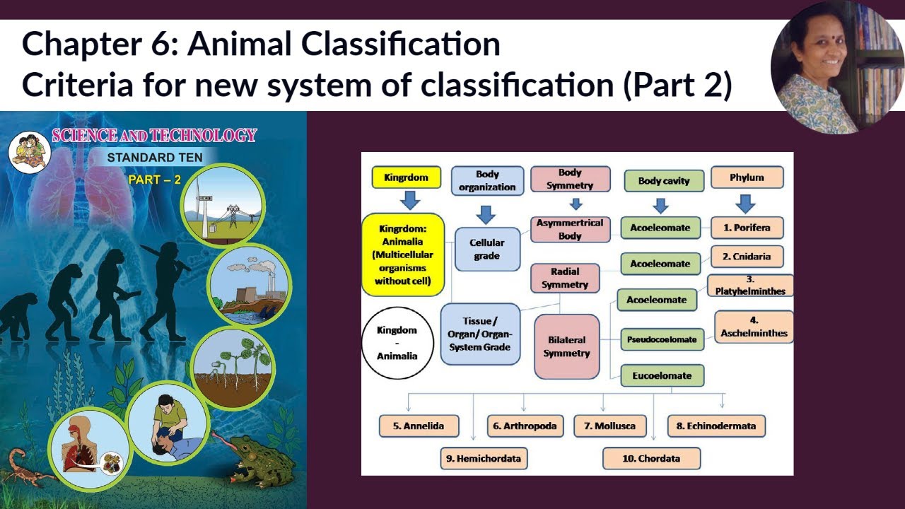 10th Standard | Sci 2 | Animal Classification - Criteria for new system ...
