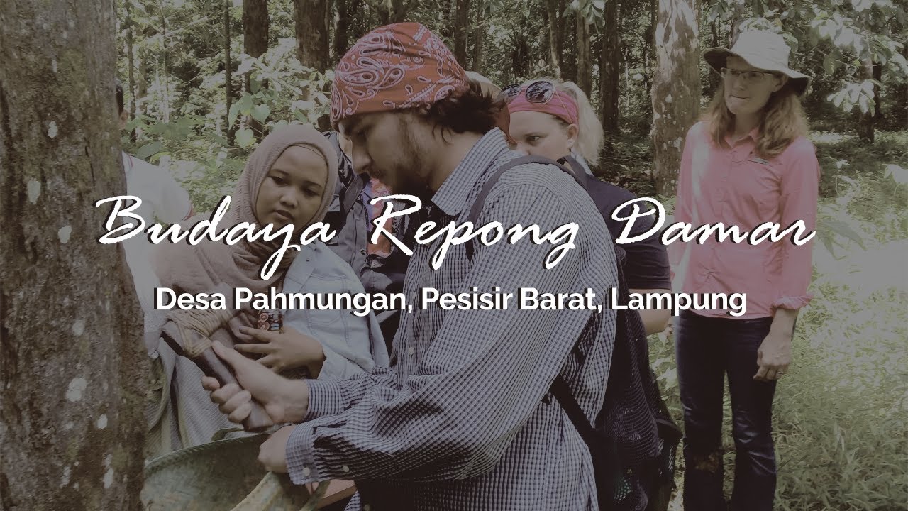 Cerita Budaya Desaku: Repong Damar - YouTube