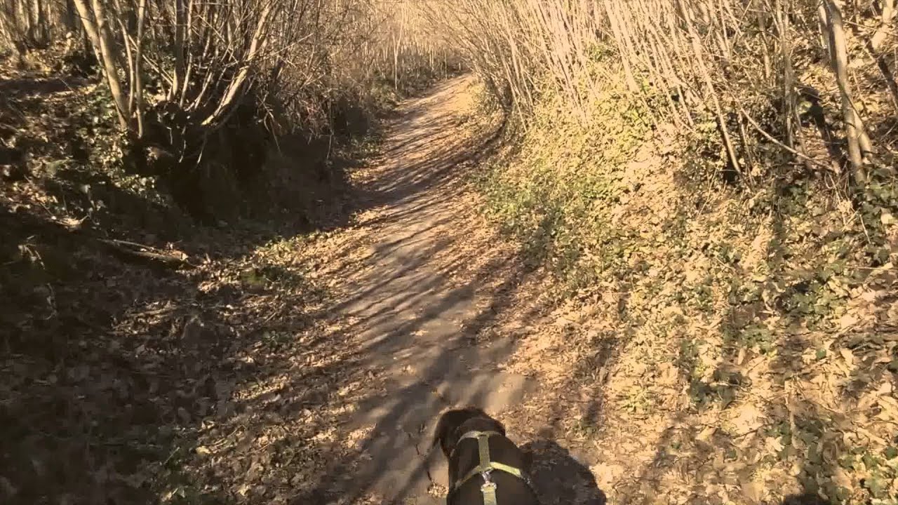 Parco dei Castelli Romani - Monte Cavo - La Via Sacra - YouTube