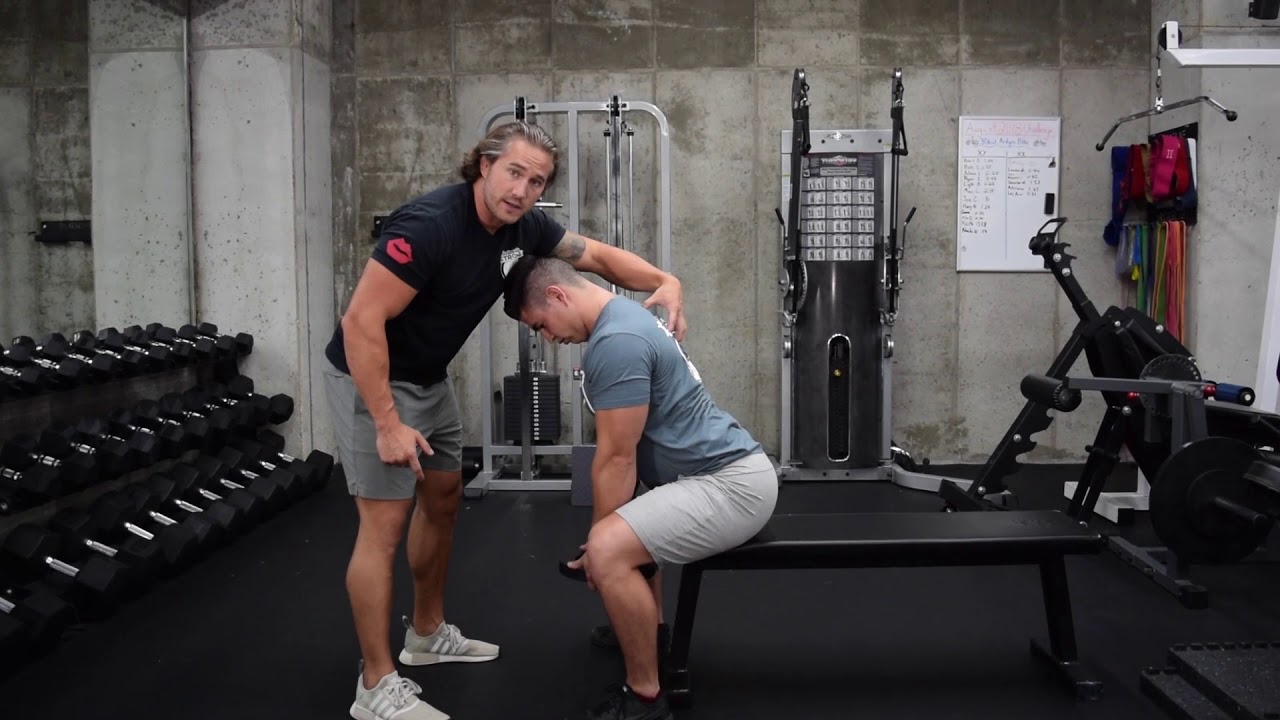 How to do Seated Weighted Cat Cows - YouTube