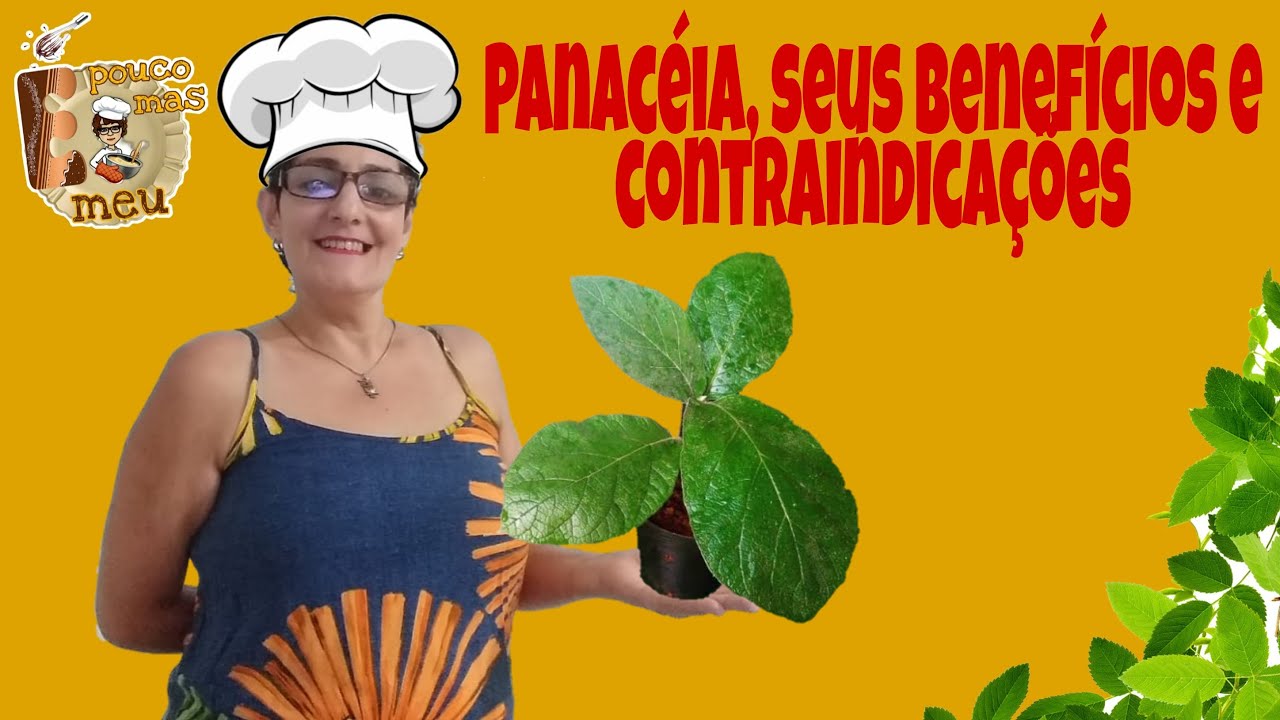Panacéia e seus benefícios e contra indicações - YouTube