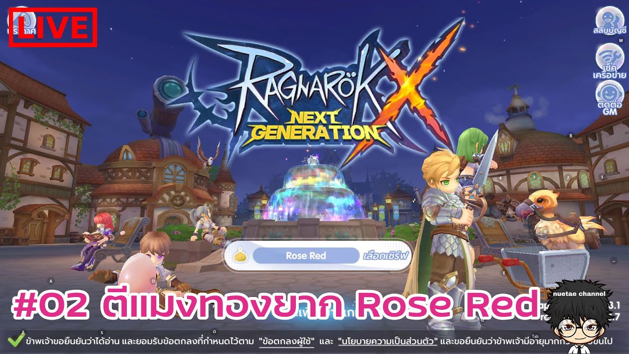 ตีแมงทองระดับยาก Server Rose Red!! ROX - YouTube