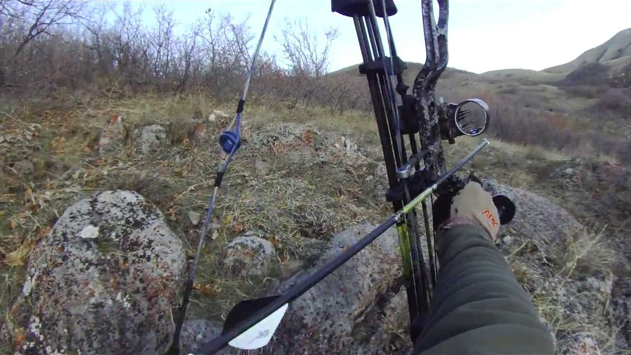 Archery Kill Shot! Hunting with the Contour Roam Head Camera, Mule Deer ...