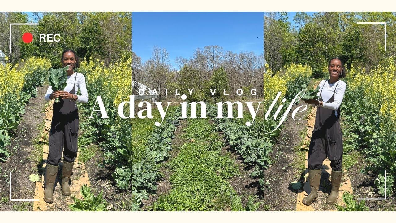 Life On the Farm Vlog - YouTube