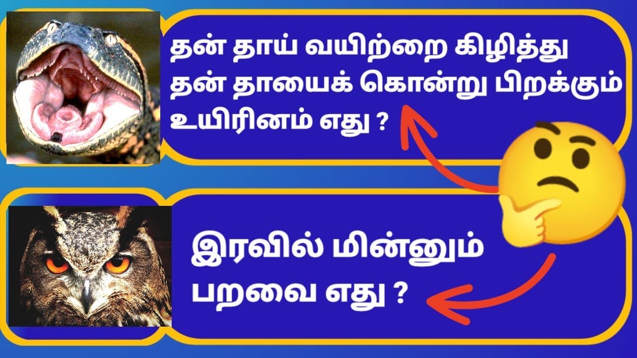 Interesting Questions In Tamil | Tamil GK Part -9 | Top Tamil Quiz ...