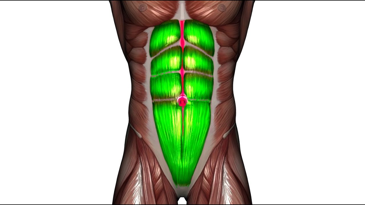 How Should You Move? (SMART EXERCISE #3) - YouTube