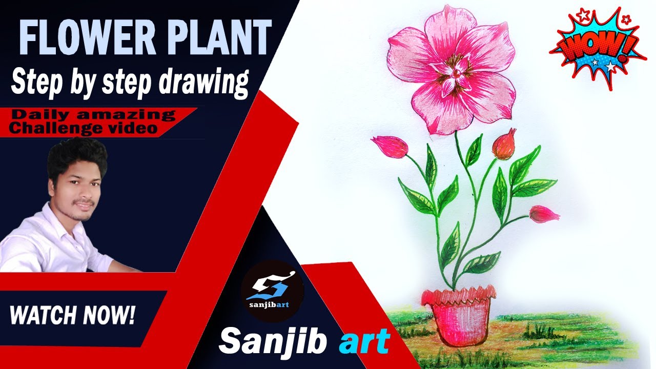 Flower plant drawing easy step by step | beautiful flower plant drawing ...