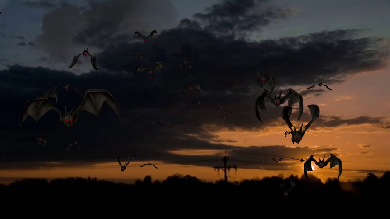 FLYING BATS VISUAL EFFECTS - YouTube